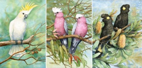Prints – Parrots