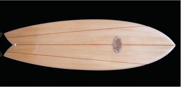 Riley Foam Core Surfboards – Fish