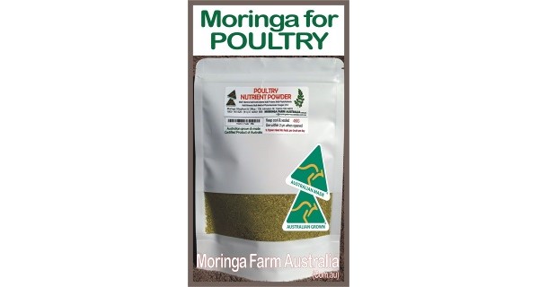 Moringa Poultry 450 gm – Nutrient Powder